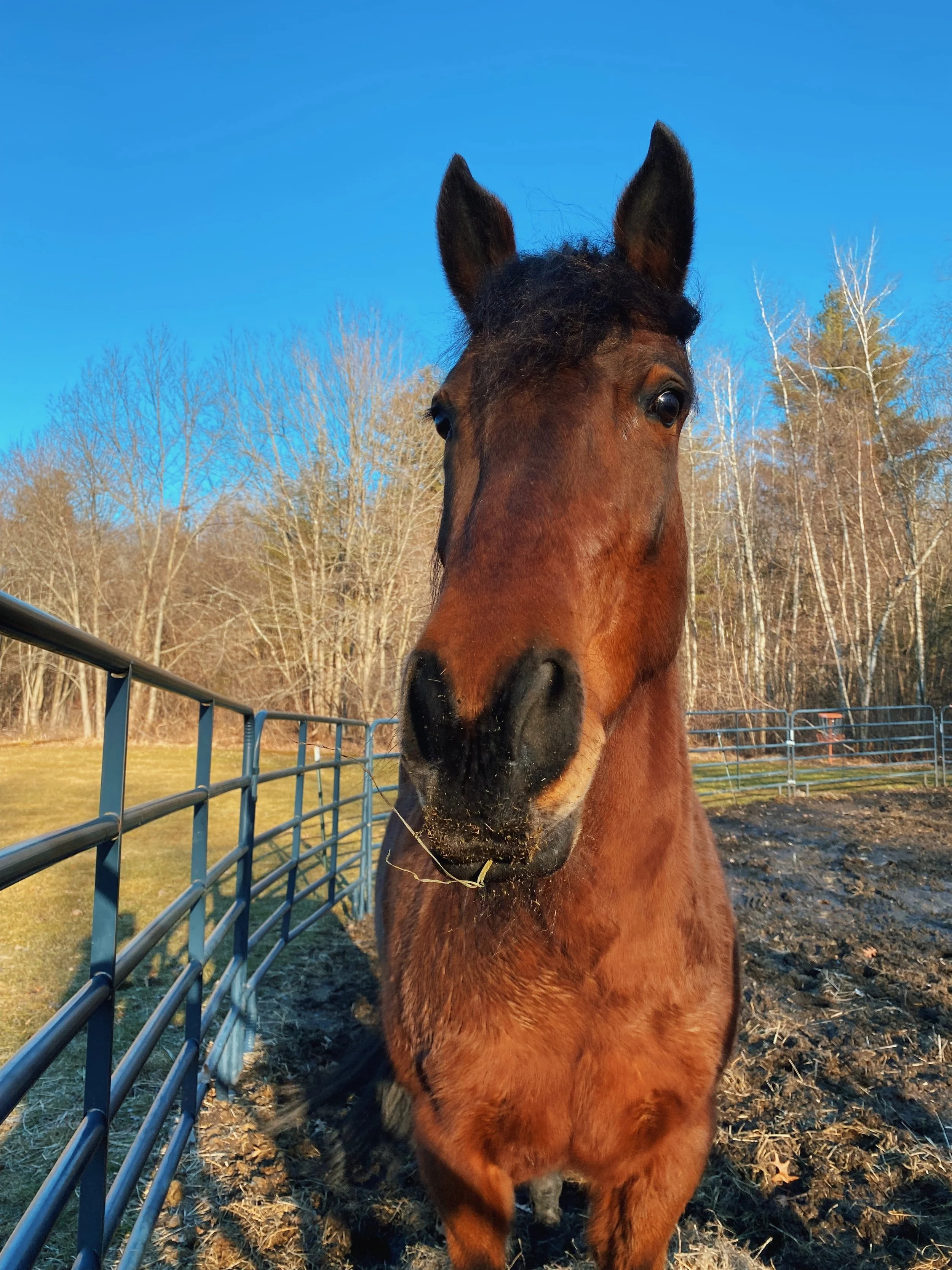 VIRTUAL TOUR — Be WELL at Black Barn Farm, LLC