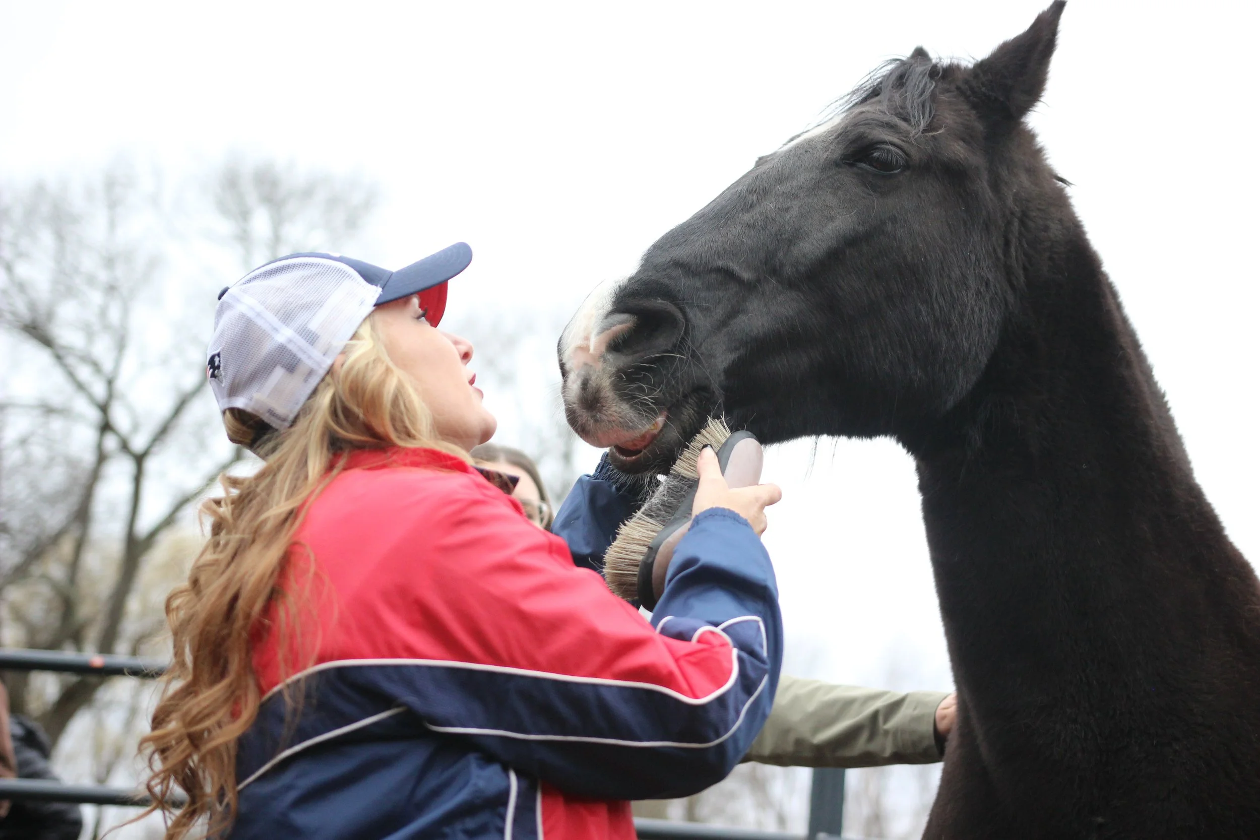 EAGALA — Be WELL at Black Barn Farm, LLC