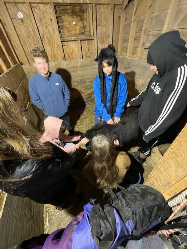 Eagala Sessions — Be WELL at Black Barn Farm, LLC