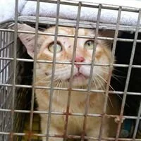 Houston & Gulf Coast — TNR Texas
