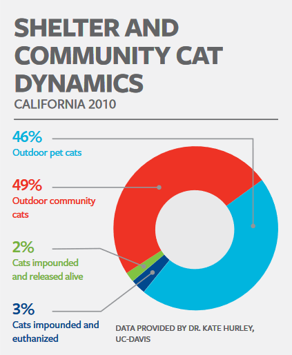 Start a TNR Program — TNR Texas