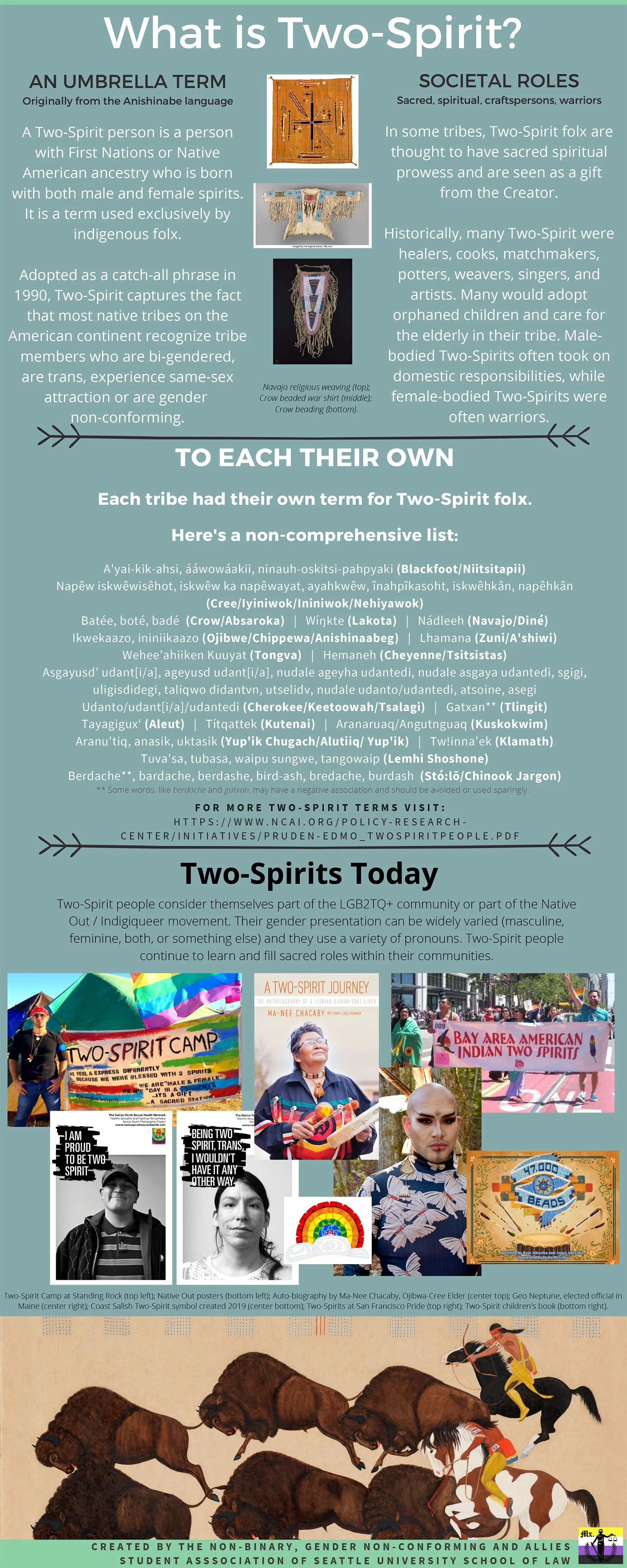 American Indian Two Spirit