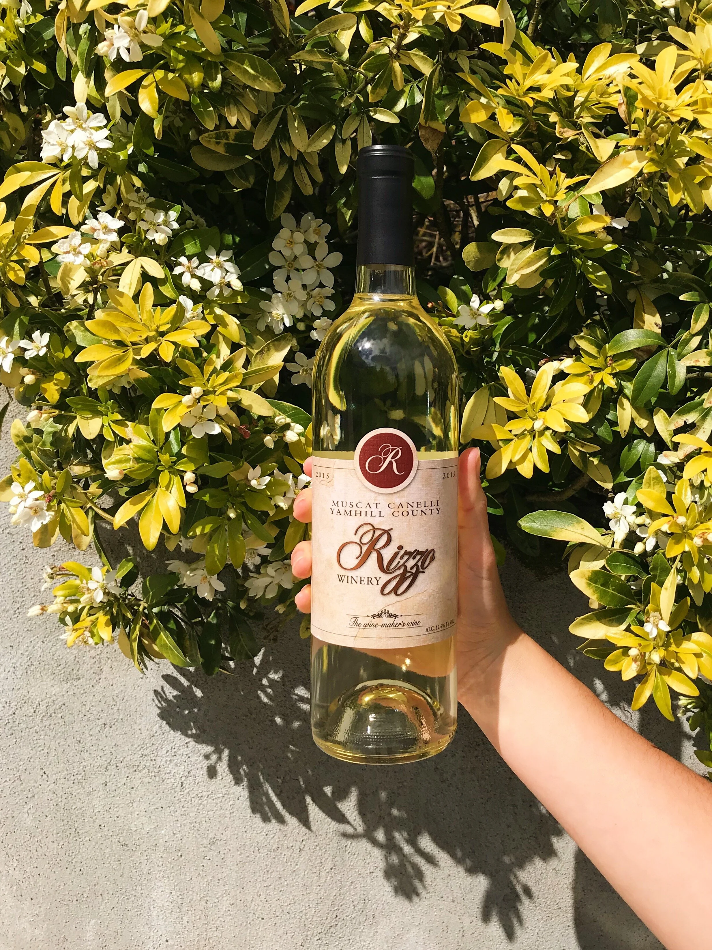 A Recipe & Wine To Pair! — Rizzo Winery