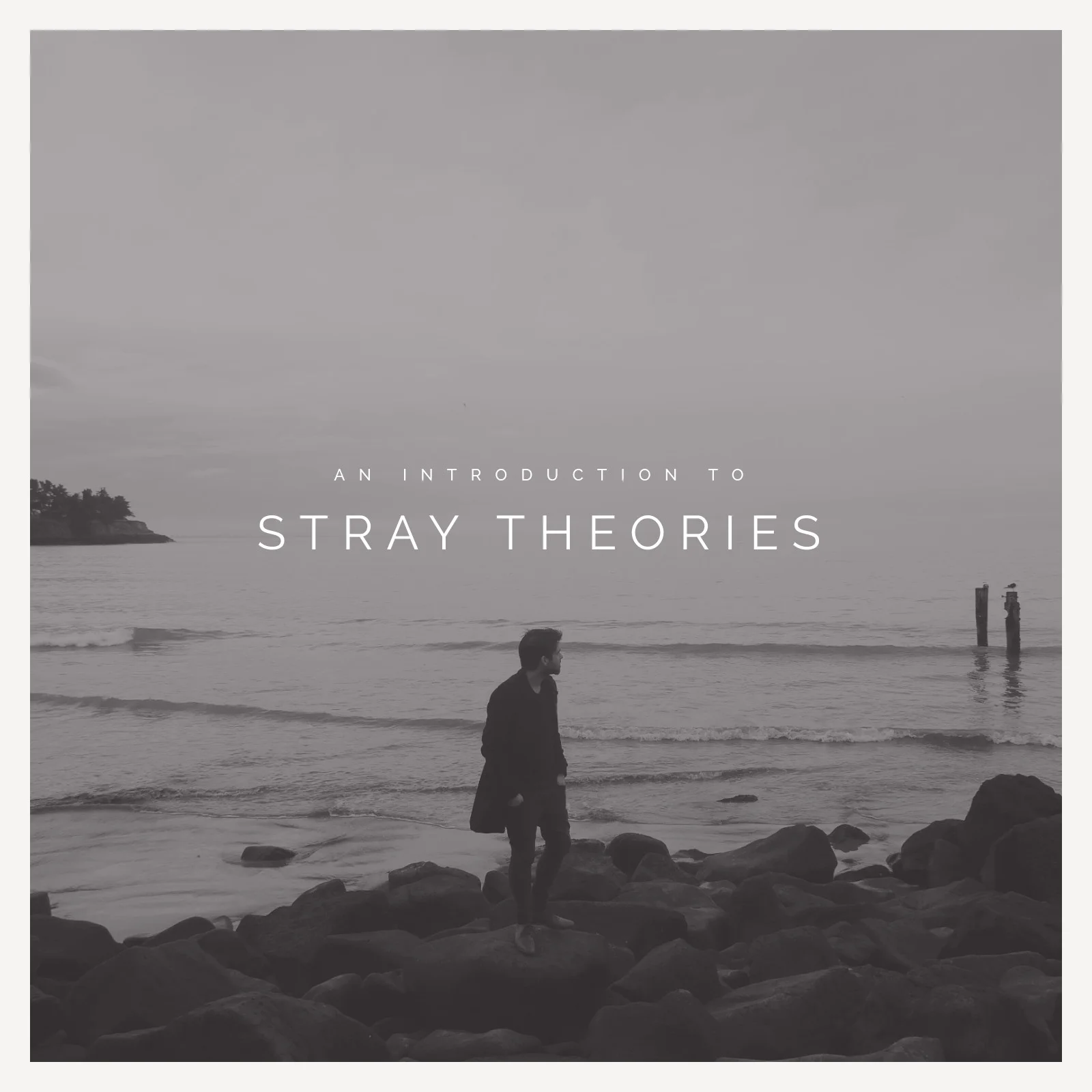 Stray Theories Music