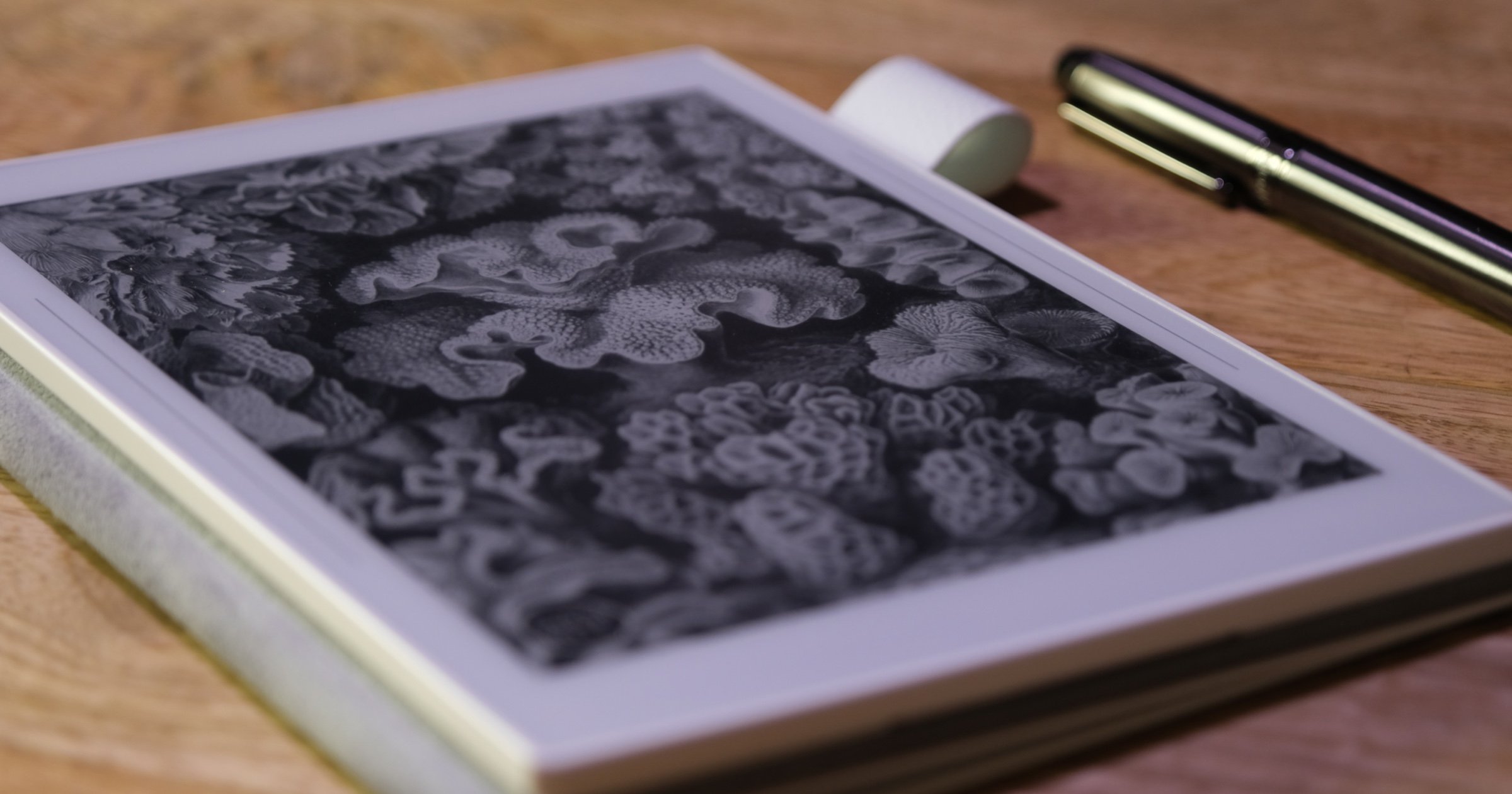 Ratta Supernote A6 X2 Nomad: Wonderfully Digitally Tangible — Stephen ...