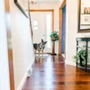 6 Doggone Adorable Things Dogs Do To Show You Love — Haylie's Dailies