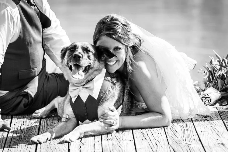 19 Pawsome Ways To Include Your Dog In Your Wedding — Haylie's Dailies