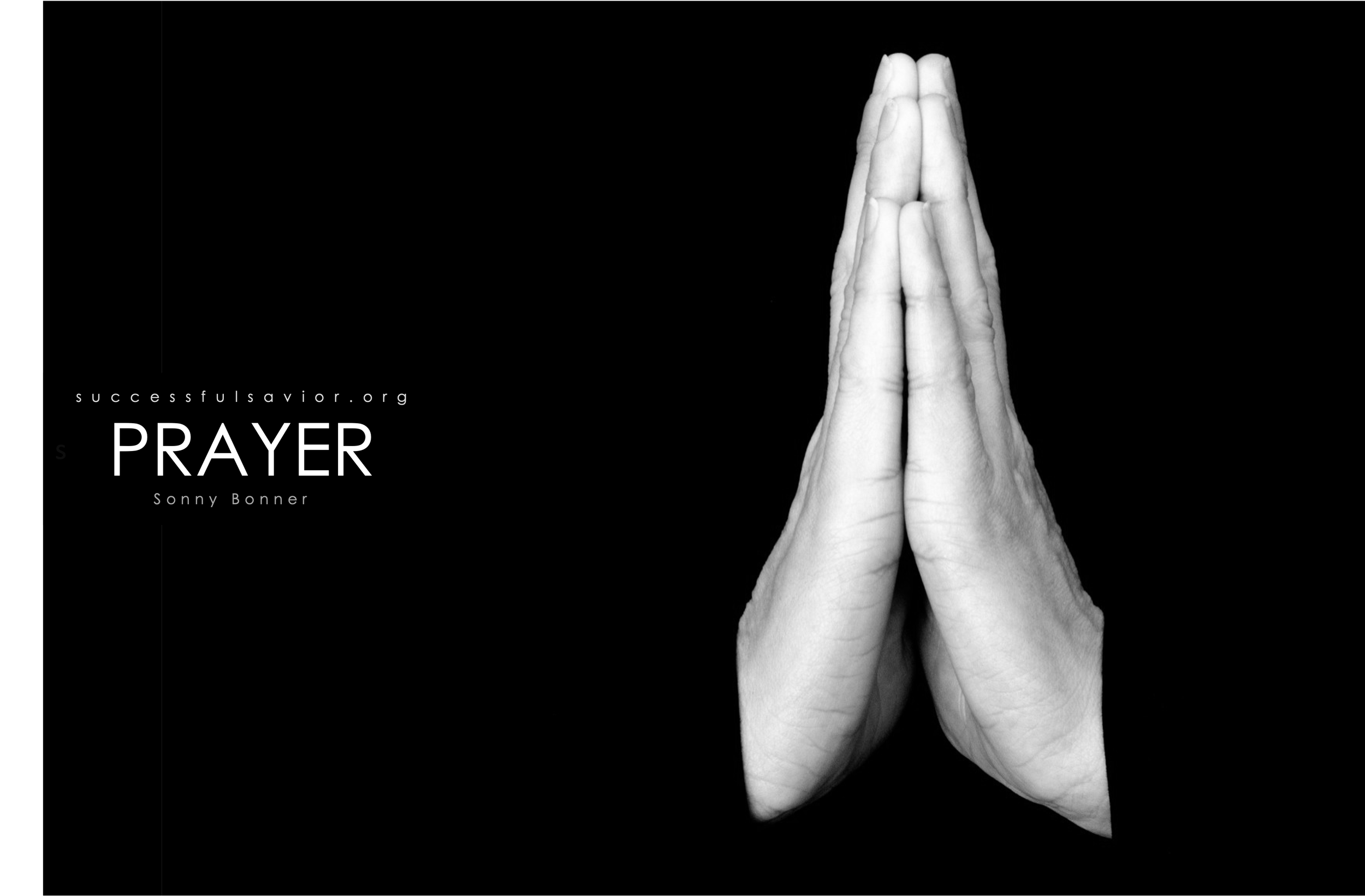 SUCCESSFULSAVIOR.ORG