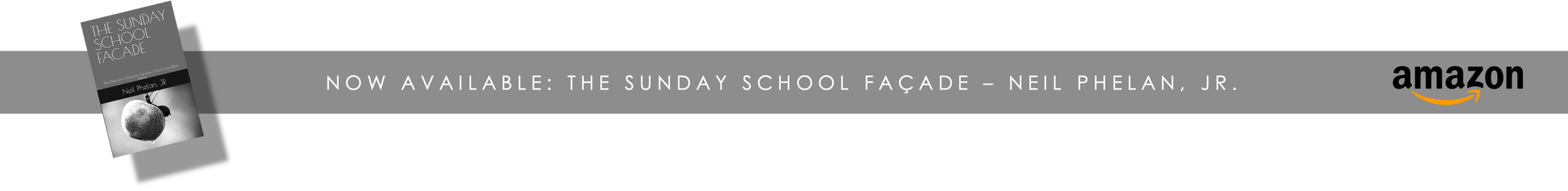 SUCCESSFULSAVIOR.ORG