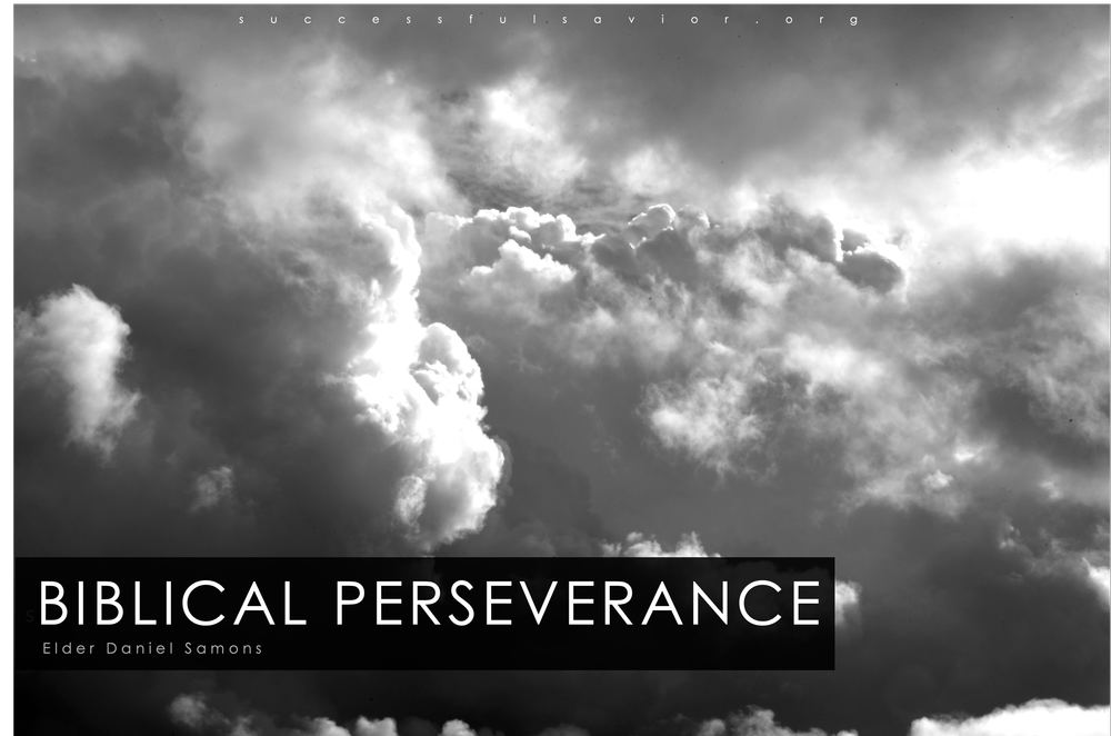Biblical Perseverance — SUCCESSFULSAVIOR.ORG