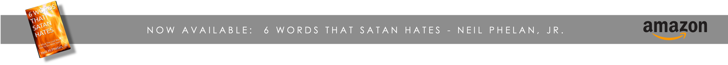 SUCCESSFULSAVIOR.ORG