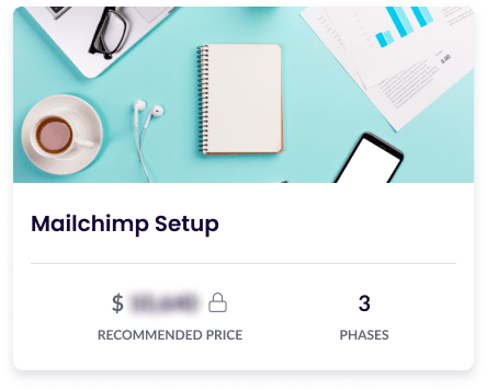Mailchimp Setup Proposal Template (with Prices) — Wethos