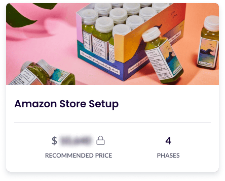 Amazon Store Setup Proposal Template (with Prices) — Wethos