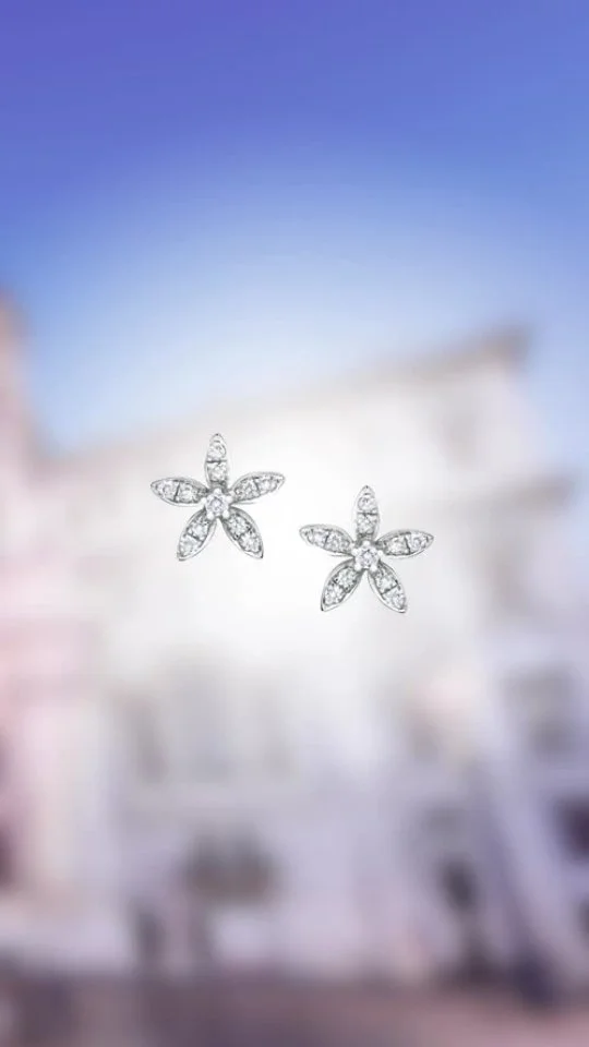 SCAGNETTI | SCAGNETTI Perth Jewellers