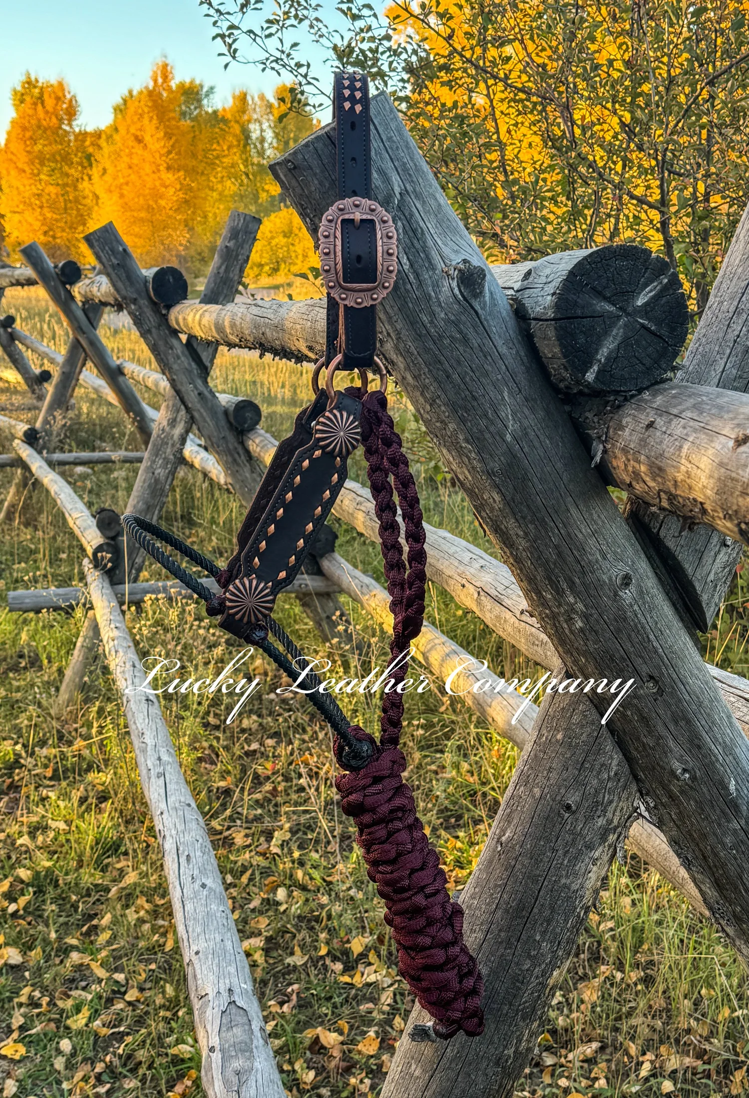 Halters — Lucky Leather Company