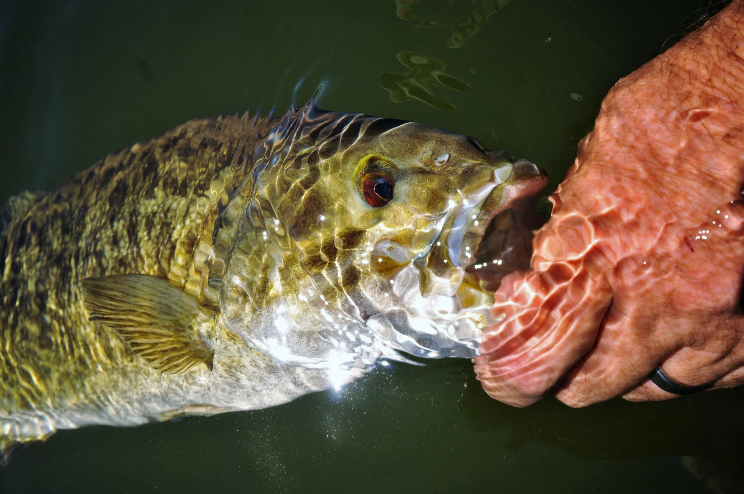 Bill Marts flyfishing