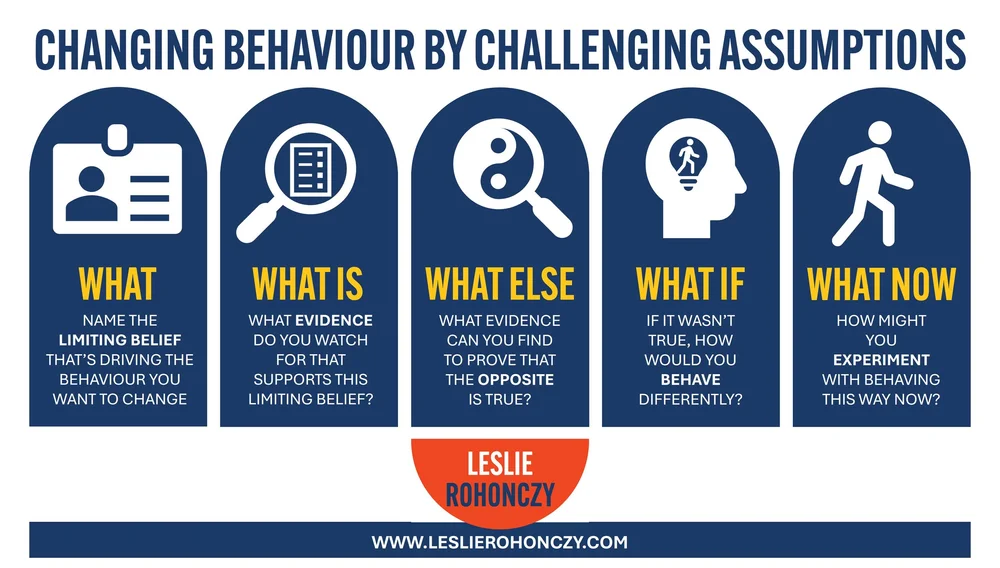 CHANGING BEHAVIOUR BY CHALLENGING ASSUMPTIONS — LESLIE ROHONCZY CONSULTING