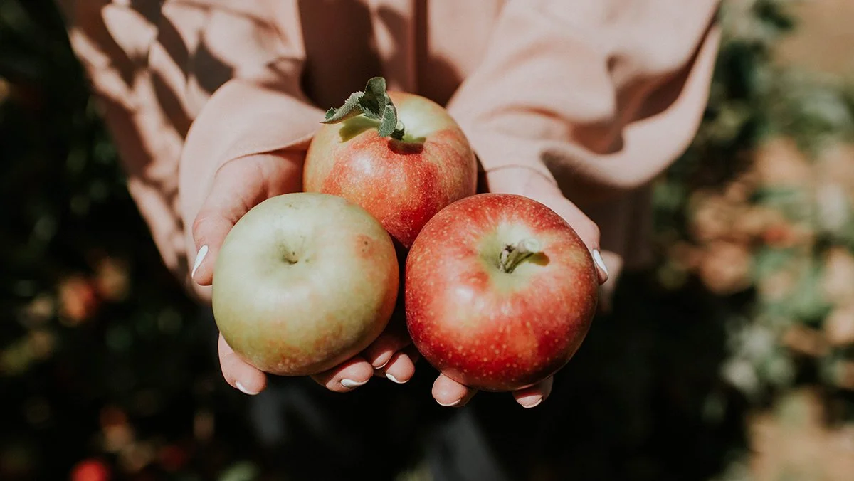 Learn about Rosh Hashanah — Jews for Jesus