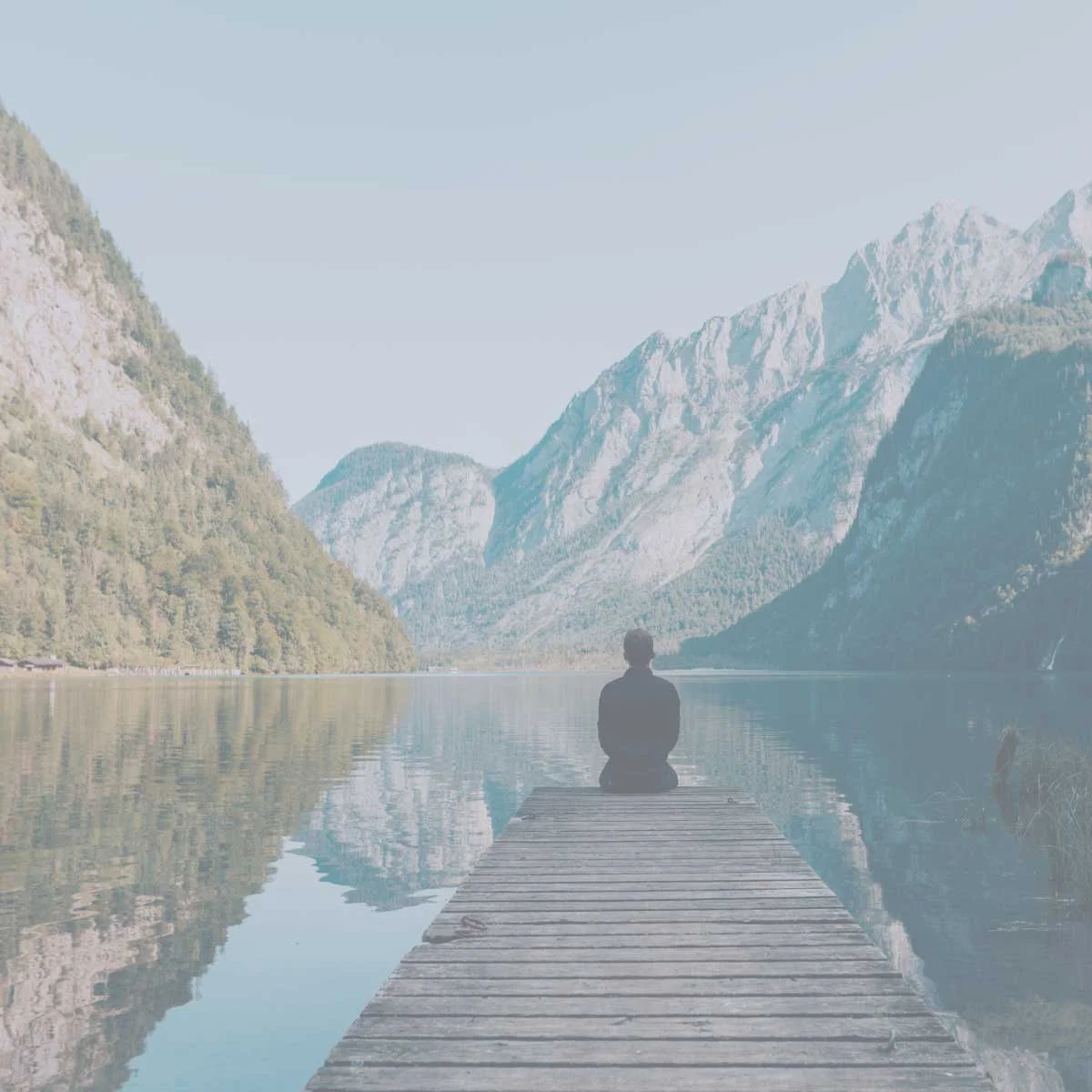 Individual, Group, Couples Therapy offered at Proactive Therapy in ...