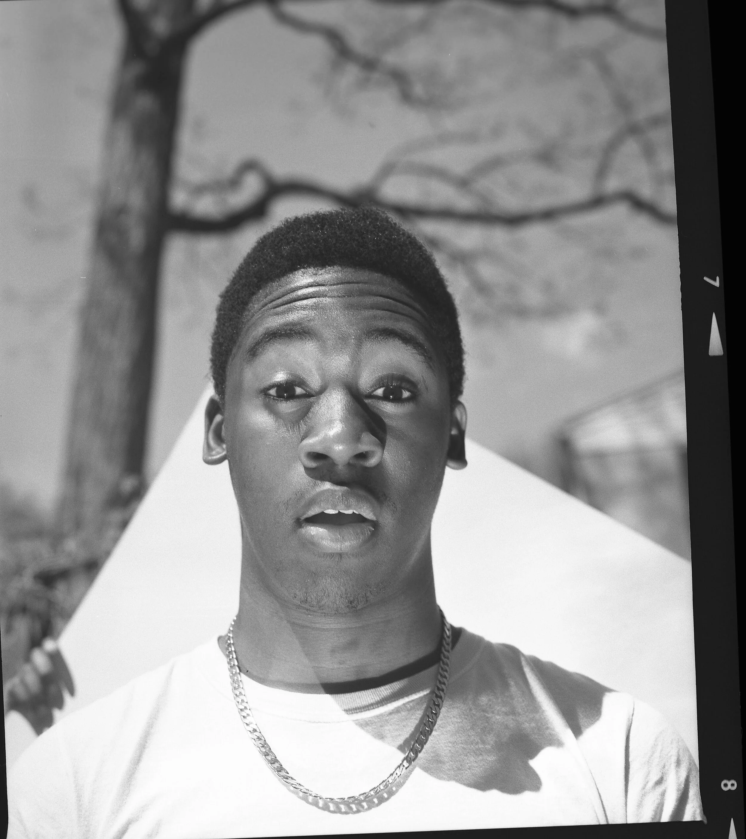 Davin & Davis — Dawn Bangi