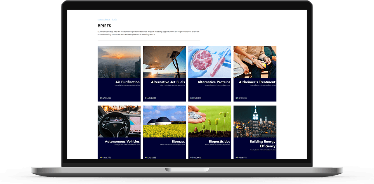 Boundless Impact Research and Analytics