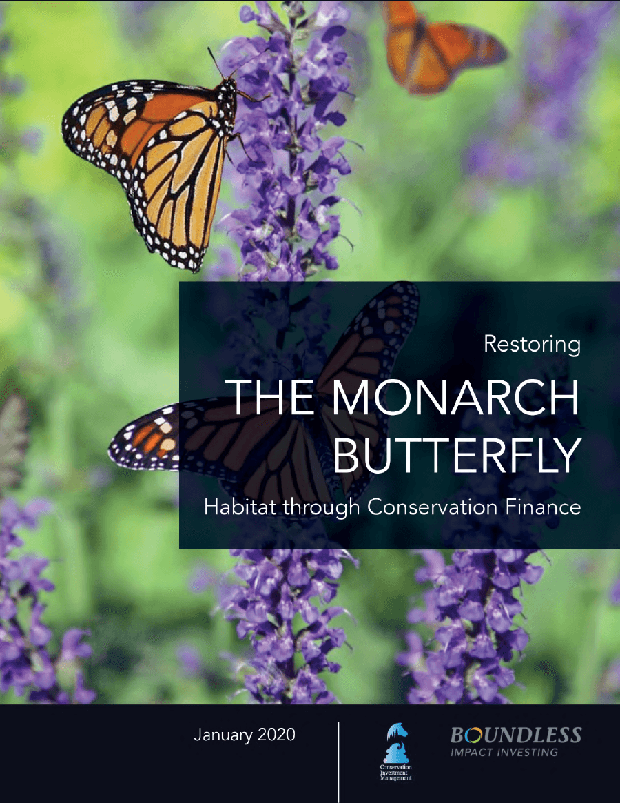 Restoring the Monarch Butterfly Habitat through Conservation Finance ...