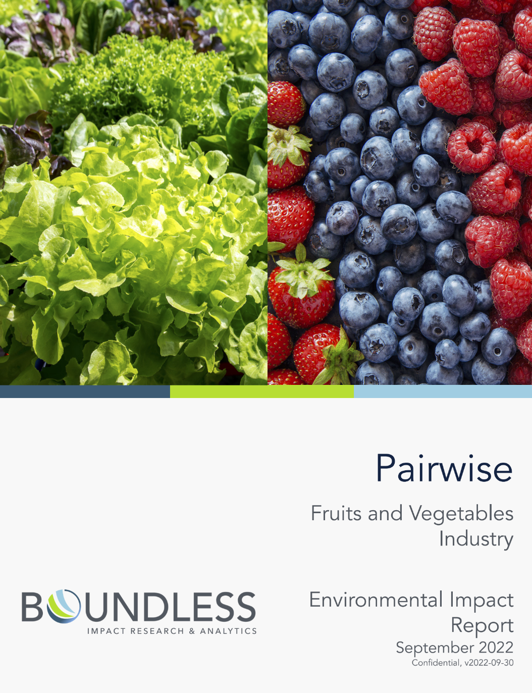 Pairwise — Boundless Impact Research and Analytics