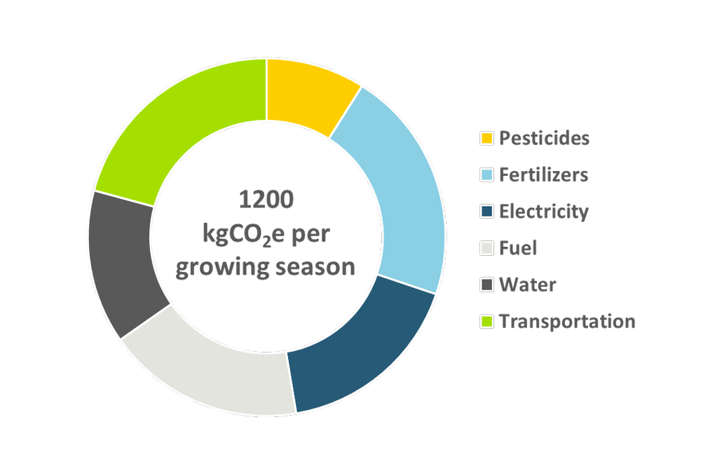 Boundless Impact Research and Analytics