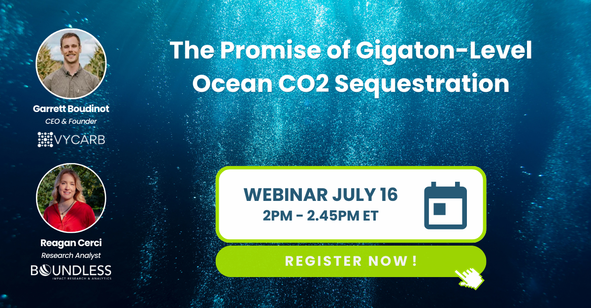 Boundless Impact Research and Analytics