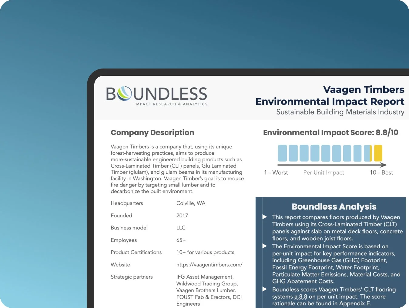 Products and Services — Boundless Impact Research and Analytics