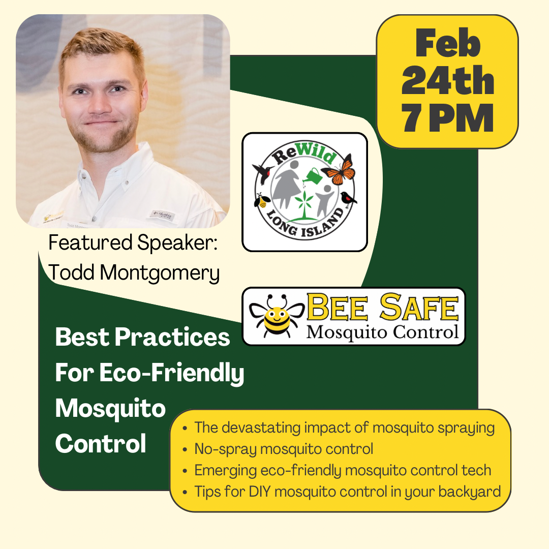 Best Practices for Eco-Friendly Mosquito Control: Webinar — ReWild Long ...