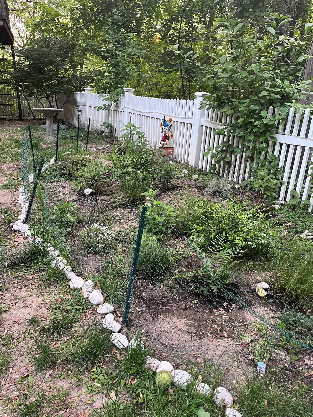 Garden With a Purpose: A Mindful May Observation by Perry Rubens ...
