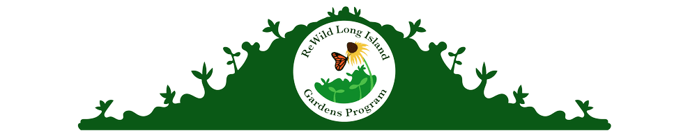 Harborfields Public Library '24 — ReWild Long Island