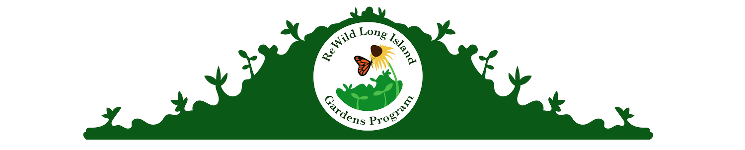 Harborfields Public Library '24 — ReWild Long Island
