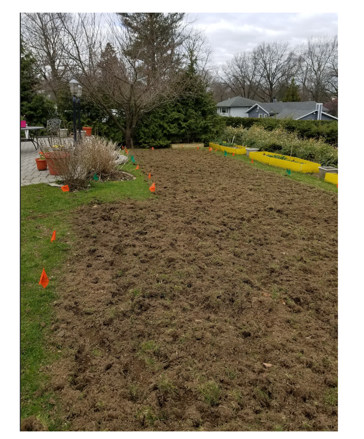 Lawn to Habitat Transformations — ReWild Long Island