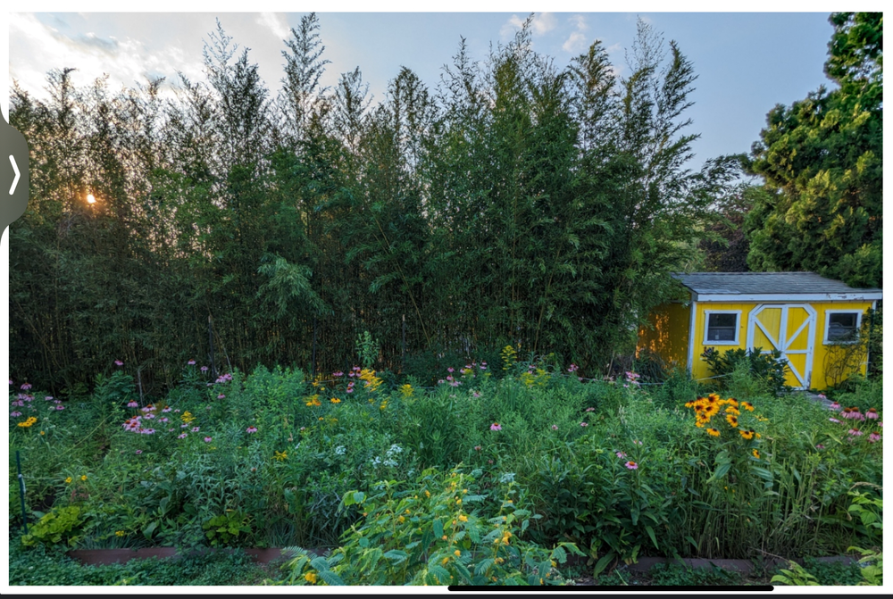 Lawn to Habitat Transformations — ReWild Long Island