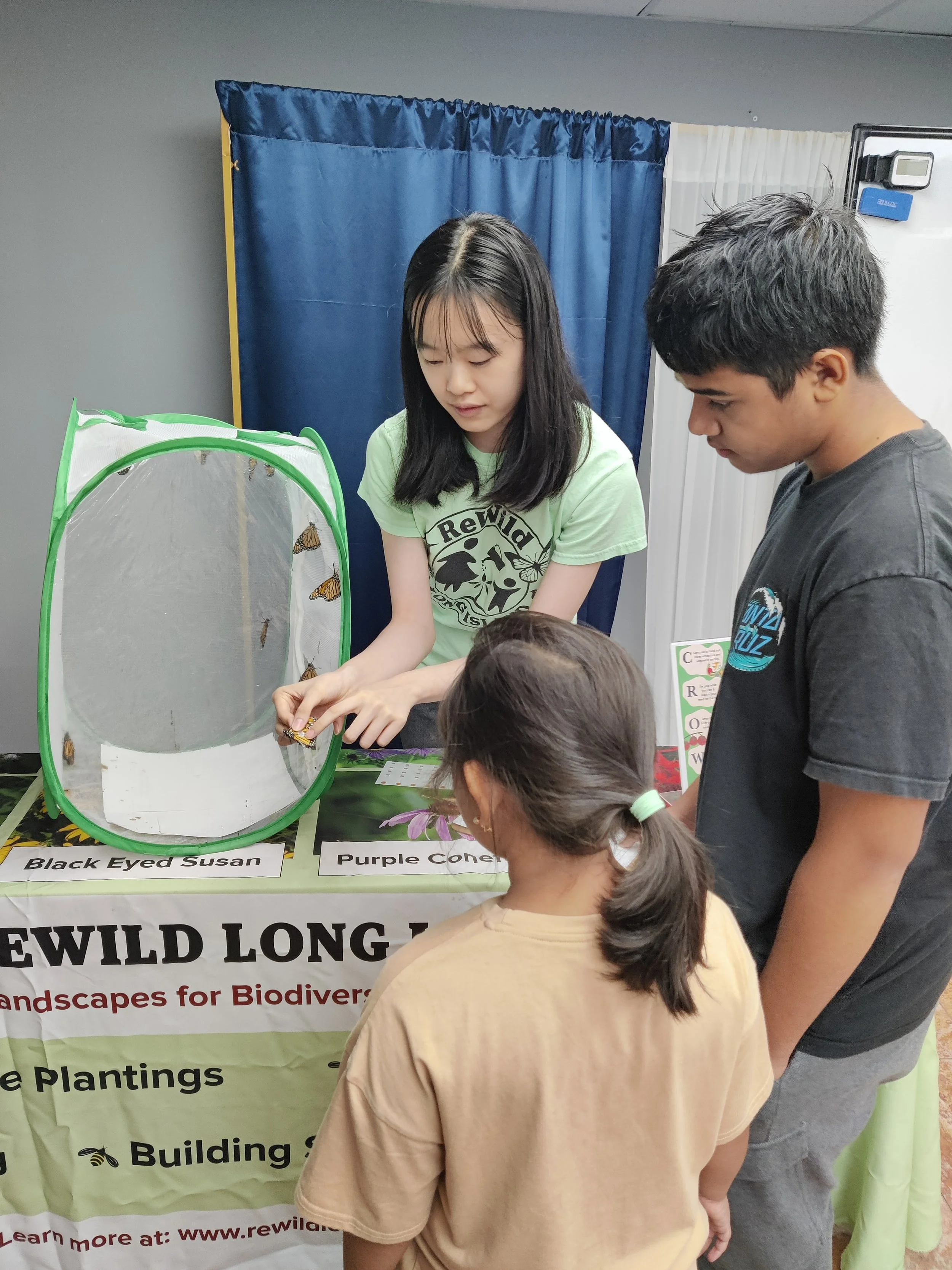 From Seed to Sanctuary: Rewilding Insights & Resources — ReWild Long Island