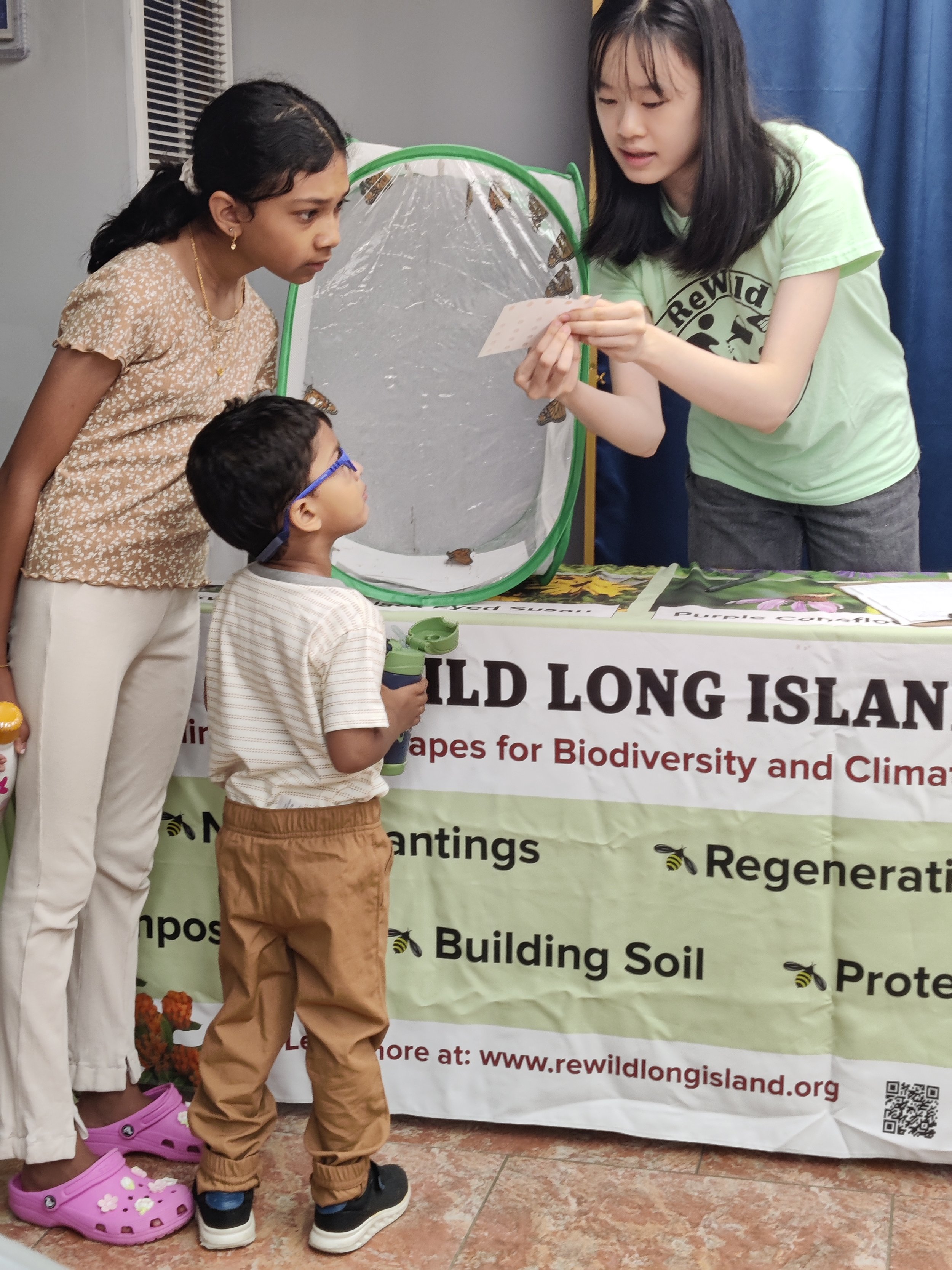 From Seed to Sanctuary: Rewilding Insights & Resources — ReWild Long Island