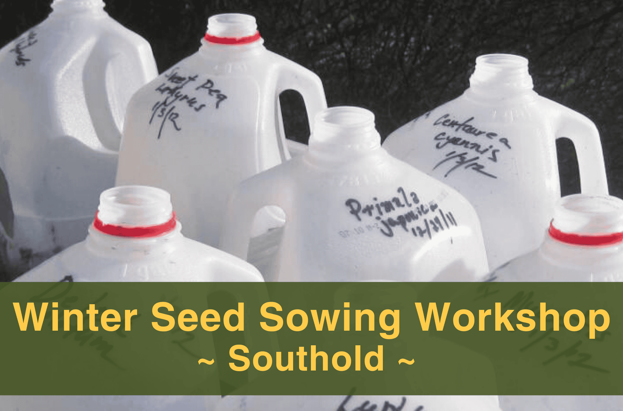 Events — ReWild Long Island