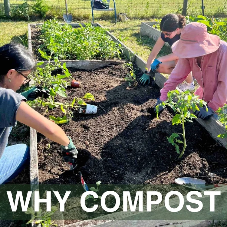 Compost — ReWild Long Island