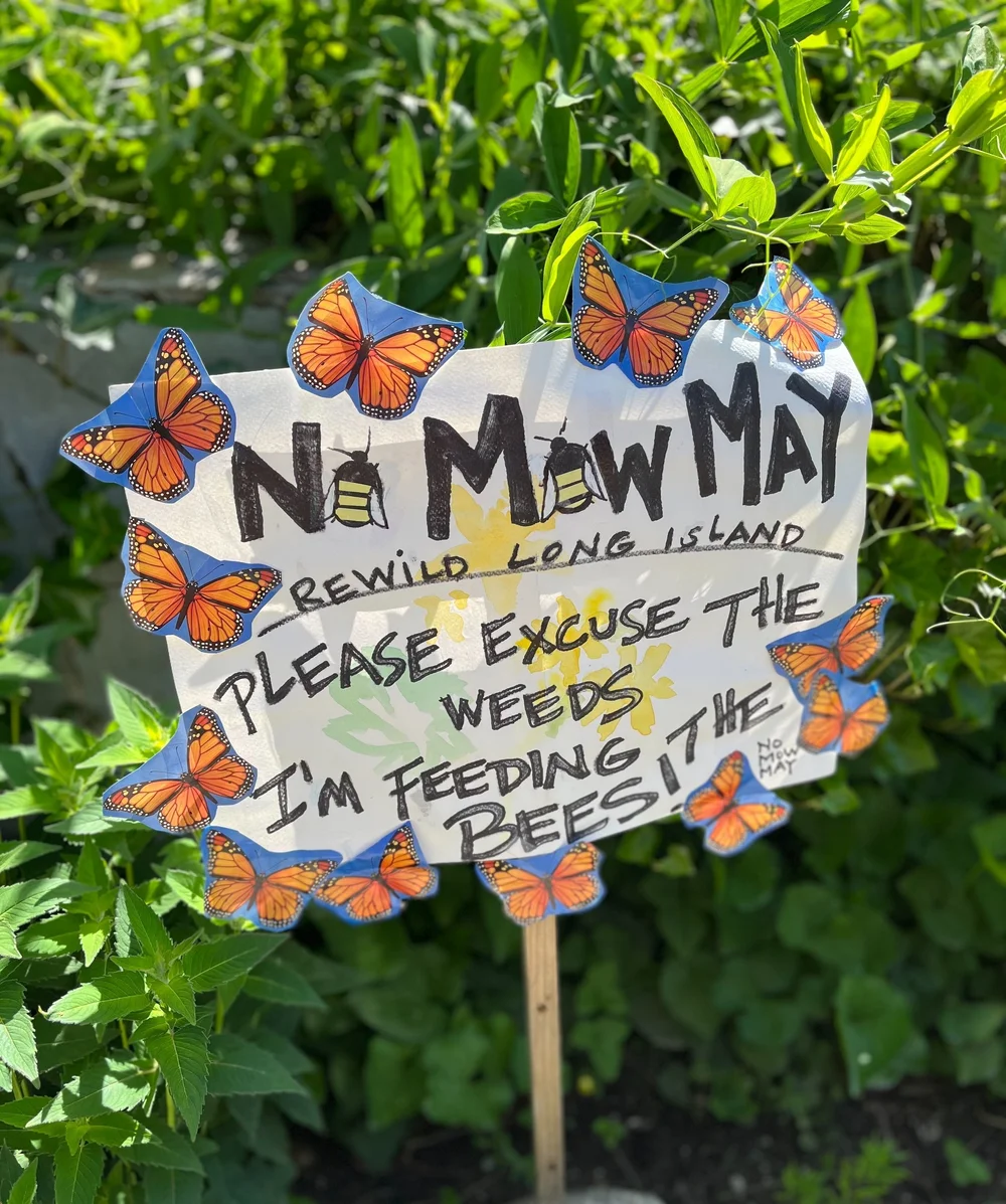 “My Lawn Came Alive": A No Mow May Reflection — ReWild Long Island