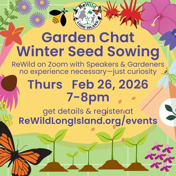 WEBINAR: Garden Chat: Winter Seed Sowing — ReWild Long Island
