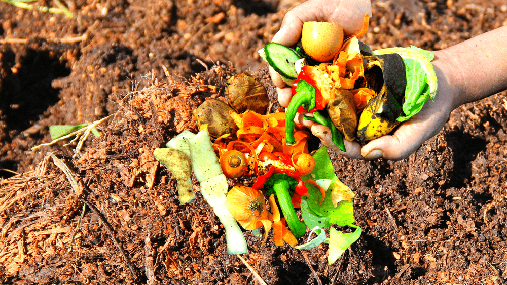 How to care for your Compost pile in the winter — ReWild Long Island
