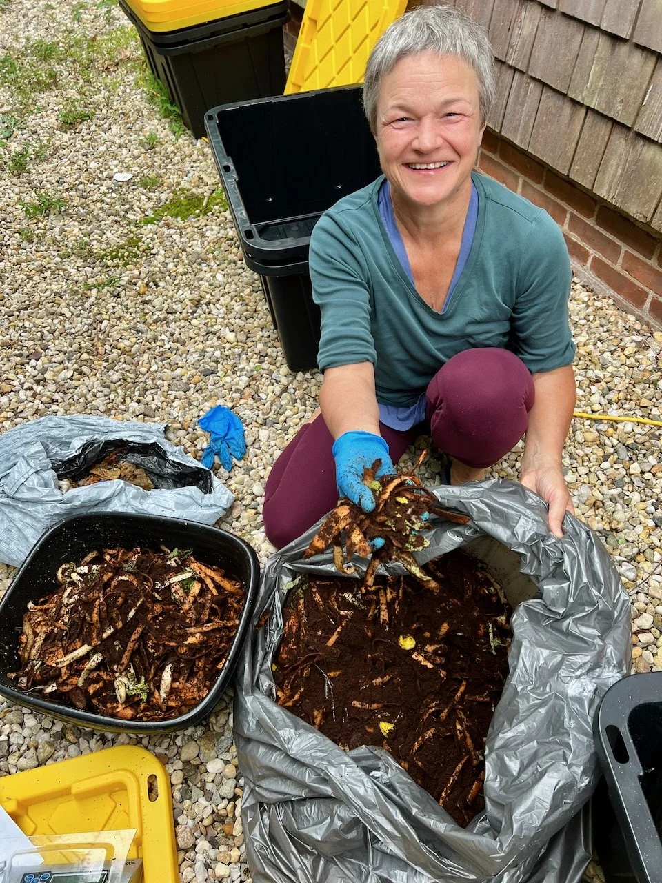 Board and Committee Chairs — ReWild Long Island