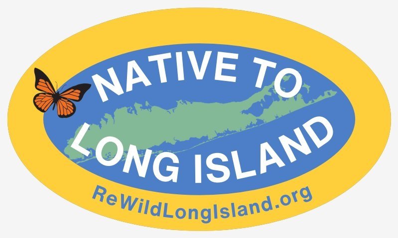 Native to Long Island — ReWild Long Island