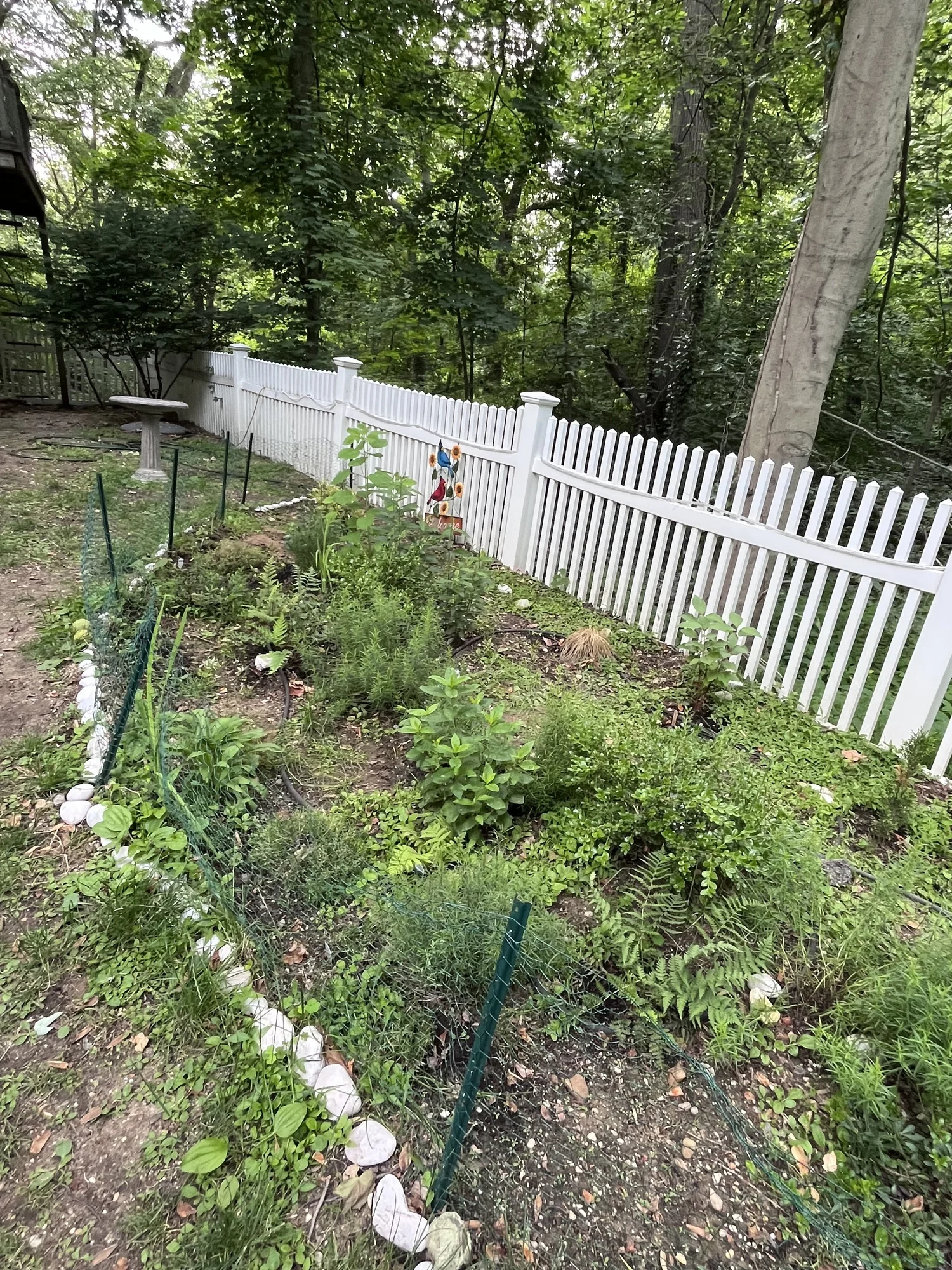 Garden With a Purpose: A Mindful May Observation by Perry Rubens ...