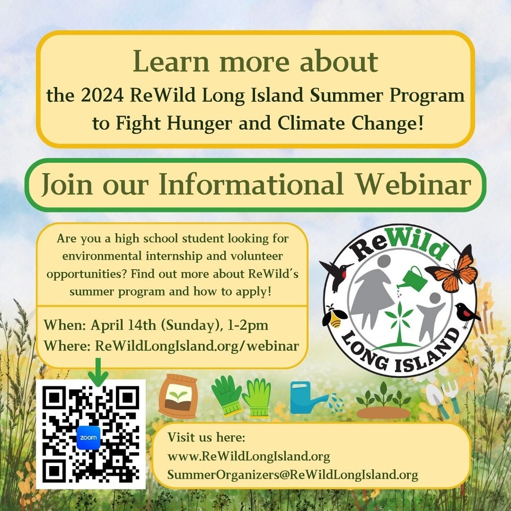 Informational Webinar On Summer Program 2024 Rewild Long Island