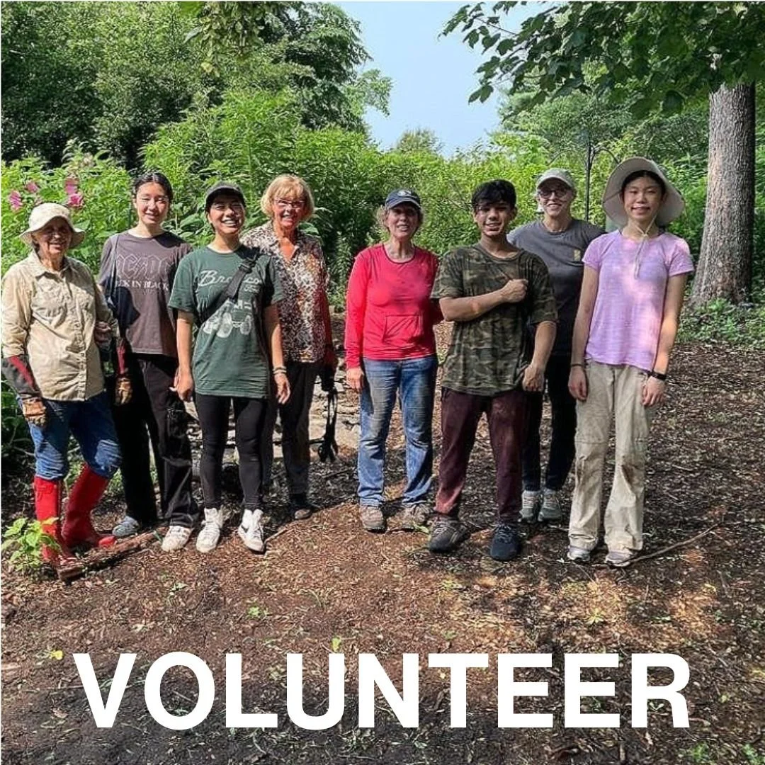 Get Involved — ReWild Long Island