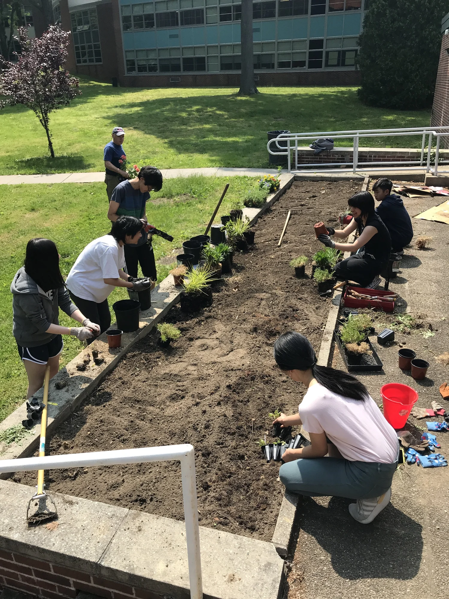 2024 ReWild Community Gardens Program Application Process — ReWild Long Island