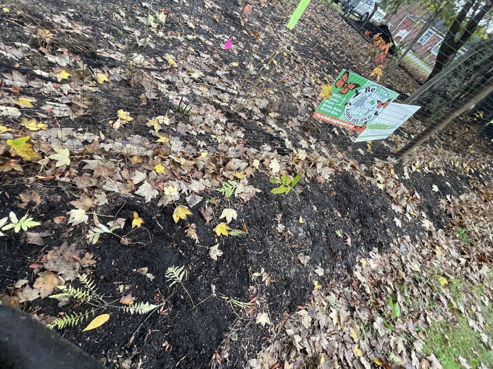 Custer Preserve Native Plant Garden at The Arboretum '23 — ReWild Long ...